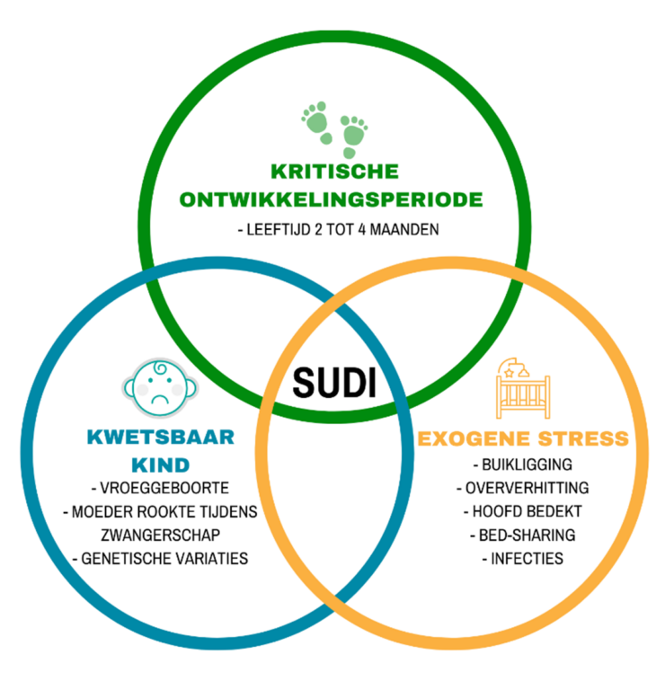 Early Years blog | Veilig slapen in de kinderopvang